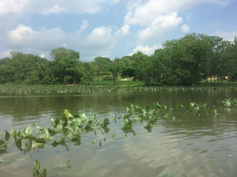 Field Report: Archaeology Field Session at River Farm in Anne Arundel ...