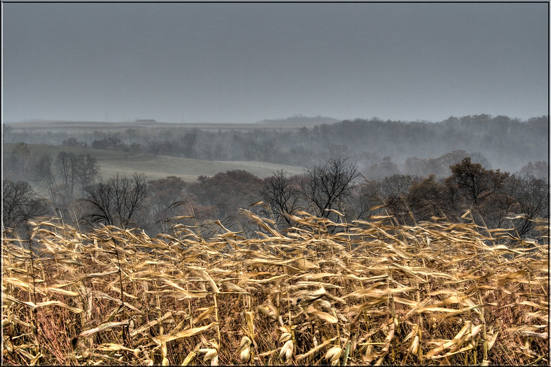 Eighteen Hundred and Froze to Death: 1816 and the Year Without a Summer ...